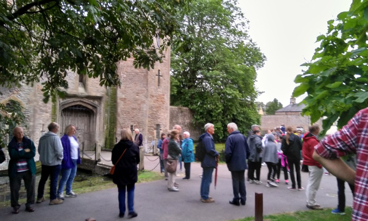 New record number of Bat detectors, for Somerset – Somerset Bat Group