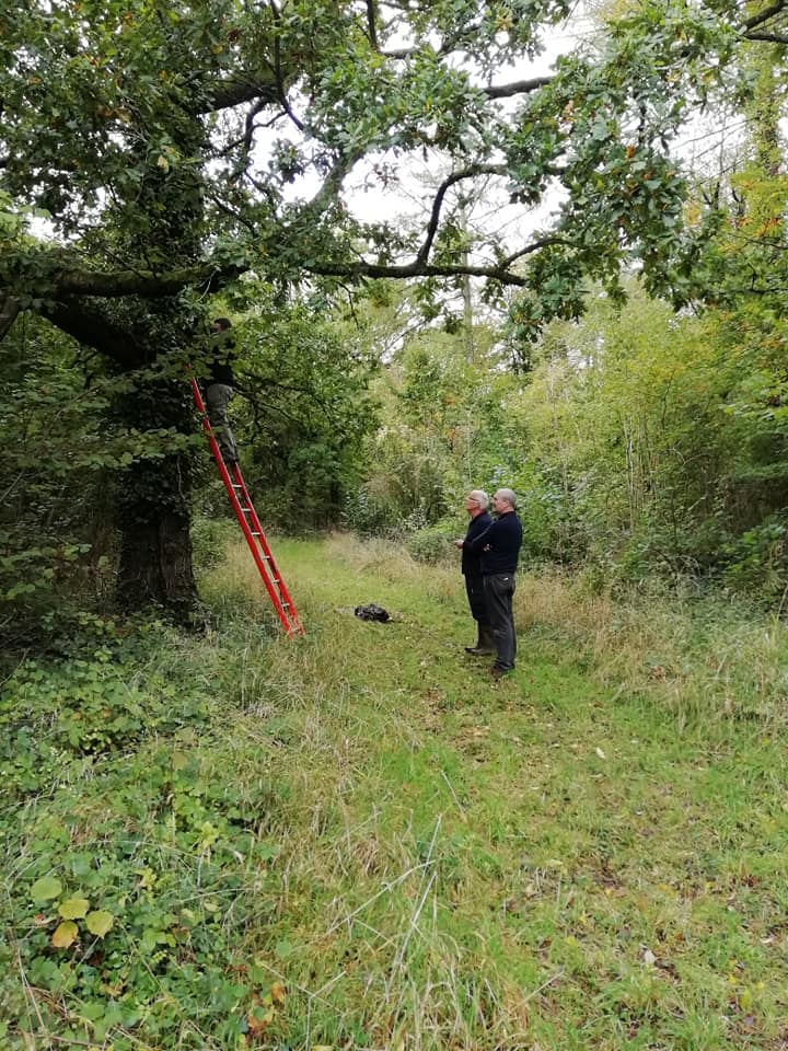 Bat Group news Nov19 – Bat Boxes and Hibernation checks – Somerset Bat ...