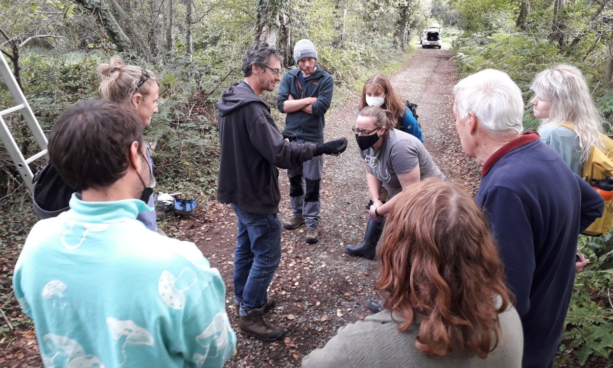 Bat box checks are back – 30Sept22 – Somerset Bat Group