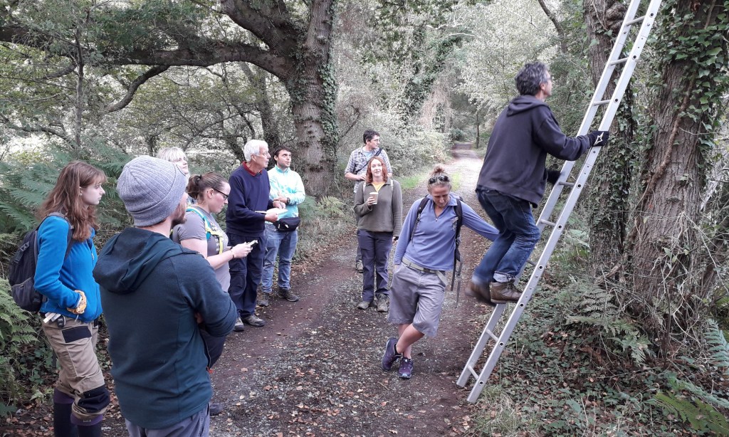 Bat box checks are back – 30Sept22 – Somerset Bat Group