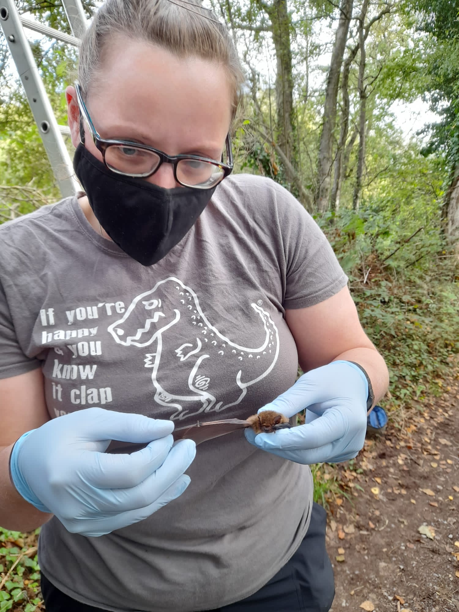 Bat box checks are back – 30Sept22 – Somerset Bat Group