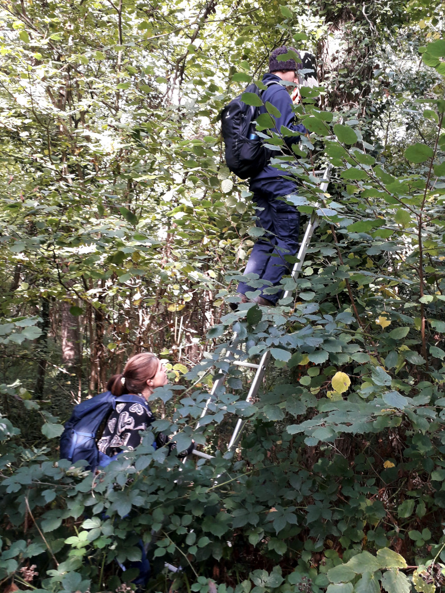 Bat Boxes and #Defend Nature – 31Oct22 – Somerset Bat Group