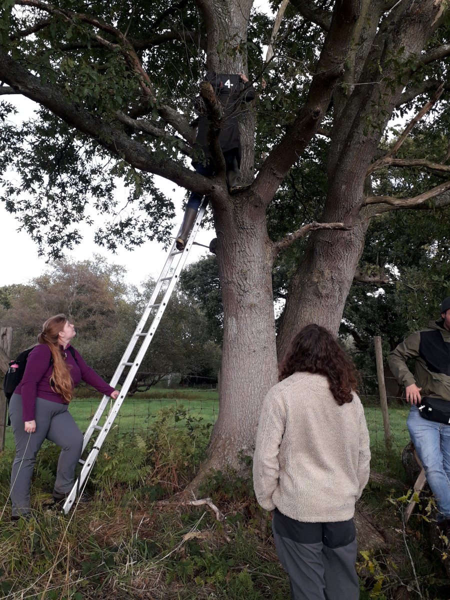 Bat Boxes and #Defend Nature – 31Oct22 – Somerset Bat Group